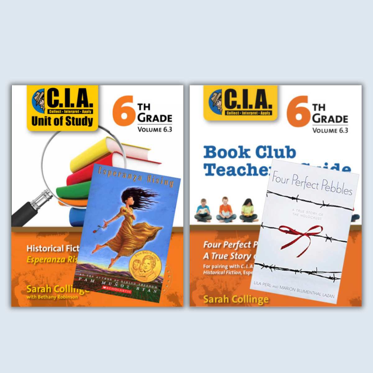 6th Grade Unit 3 – Read Side by Side